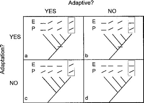 Figure 1 From Adaptive Plasticity And Plasticity As An Adaptation A Selective Review Of