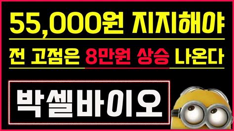 박셀바이오 박셀바이오주가전망 박셀바이오전망 박셀바이오주가 박셀바이오박셀바이오주가전망박셀바이오전망박셀바이오주가박셀바이오무상증자박셀바이오주식박셀바이오박스루킨