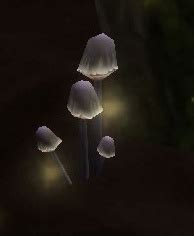 Magic Mushrooms Quest World Of Warcraft