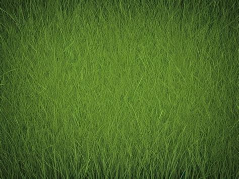95000 Green Grass Backdrop Pictures