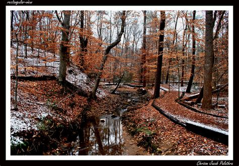 Untitled Chrison Jacob Flickr