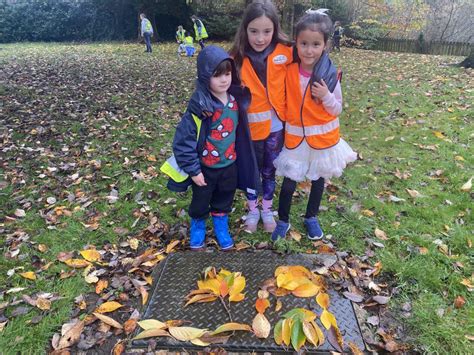 Leaf Artwork 🍁 Primary 567 Class Blog 2025 2026