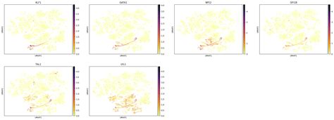 Visualize The Global Cell State Manifold — Scmg 1 0 Documentation
