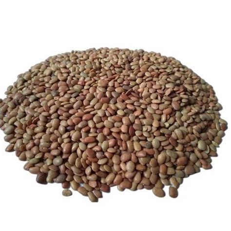 Brown Organic Kulthi Dal Gluten Free At Rs 180kg In Motala Id