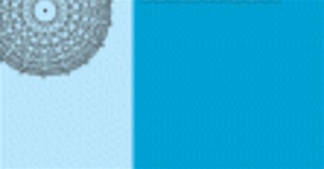 Transfer Paths And Academic Performance The Primary School Merger