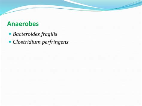 Antibiogram Clsi Recommendations Pptx