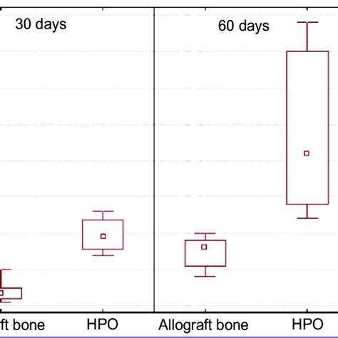 Cell Proliferative Activity In The Studied Tissues Download