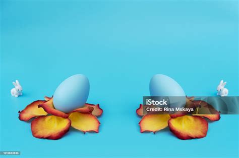 두 개의 푸른 부활절 달걀은 흰색 토끼와 파란색 배경에 장미 꽃잎으로 만든 노란색 꽃에 서있다 해피 부활절 휴일 개념입니다 인사말 카드 텍스트의 복사 공간이 있는 플랫 레이