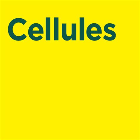 Css Fini Les Imbrications à Rallonge — Cellules Agence Web Design