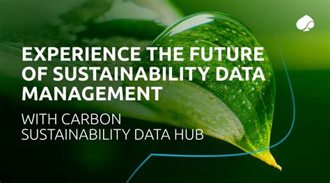 Sustainability Capgemini Data And Ai