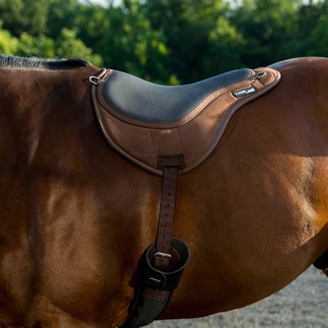 Thinline Bareback Saddle Pad The Best Available