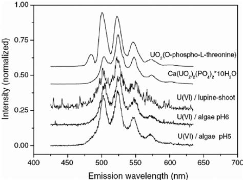 Comparison Of Hexavalent Uranium Uvi Fl Uorescence Spectra Obtained