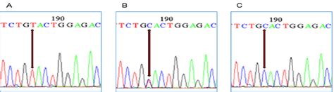 Figure 1 From Effect Of Dio2 Gene Polymorphism On Thyroid Hormone