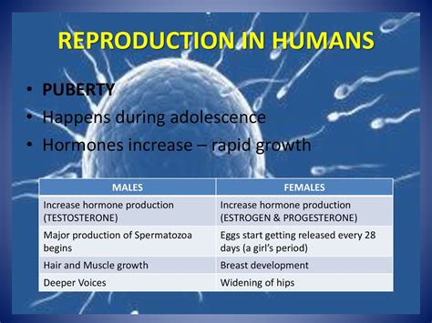 Unit 8 Reproduction Asexual And Sexual Reproduction Ppt Download