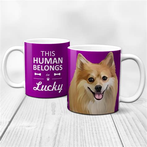 Exploring The Enigmatic Floppa Cat Breed Your Guide To These Fascinating Felines Woof Blankets