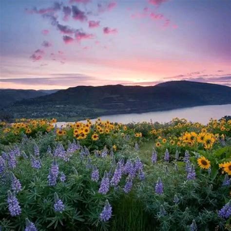 流量至上的时代，星途瑶光c Dm坚守“技术长期主义” 挑战 用户 汽车