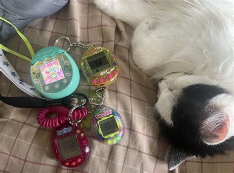 All My Lil Buddies 💖 Rtamagotchi