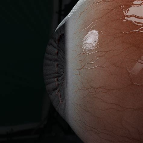 Distorted Iris Reflection In Cornea When Rendering Eye Autodesk Community
