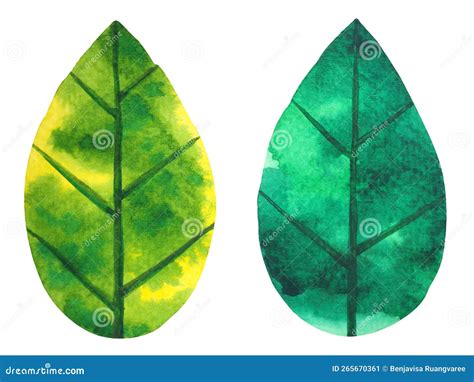 Green Leaf Tree Plant Eco Energy Ecology Nature Power Environmental