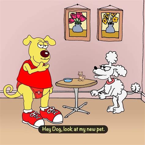 Fluffy Has An Adorable New Kittycat Wee Bit Small Though Hmmmm