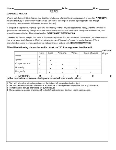 Natural Selection Worksheet For Middle School 24 Printable Pdf Template
