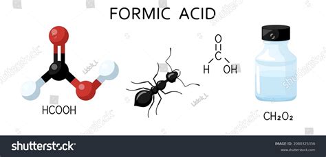 Formic Acid Over 129 Royalty Free Licensable Stock Vectors Vector Art Shutterstock