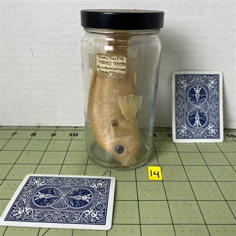 Glass Jar Specimen Green Sunfish