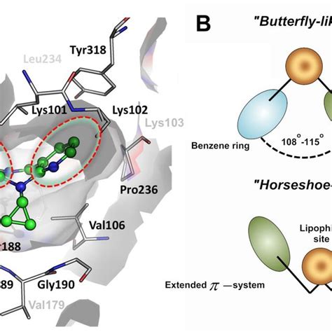 Chemical Structures Of The Studied Non Nucleoside Reverse Transcriptase