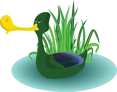 Drake Vector Eps10 Stock Image Vectorgrove Royalty Free Vector Images With Commercial License