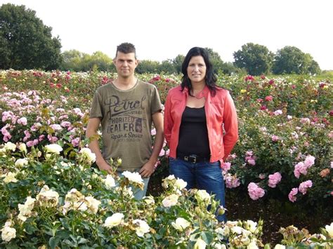 Prachtige Stamrozen • Tuin Info