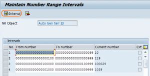 Number Range Intervals For Territory Hierarchy Levels In SAP