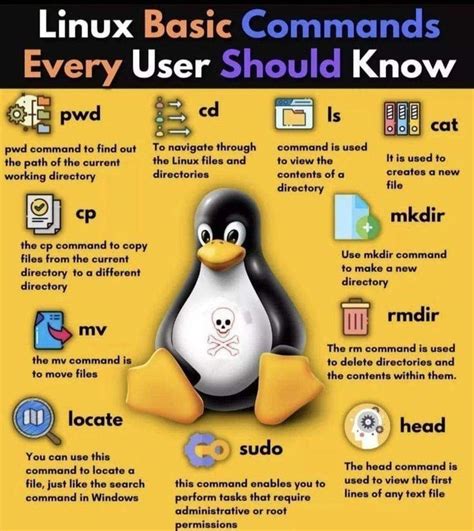 Common Linux Commands Letsdefend 12 Comments
