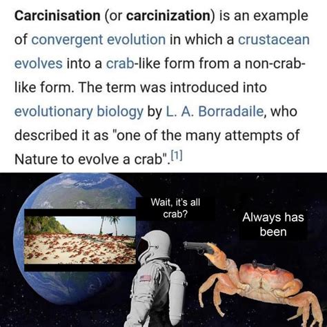 The Best Crab Memes Memedroid