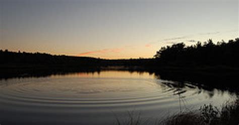 The Rippling Effect Psychology Today