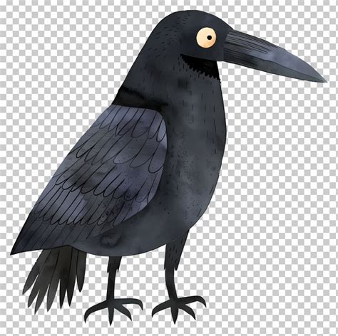 Cartoon Raven Black Raven Illustration With Feathers Png Clipart