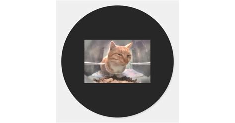 Mr Fresh Cat Meme Side Eye Cat Classic Round Sticker Zazzle