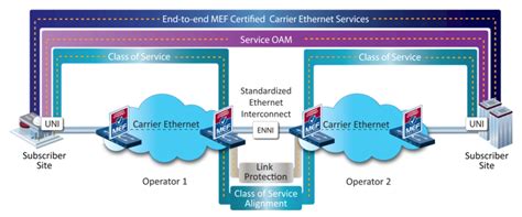 Introduction To Metro Ethernet Route XP