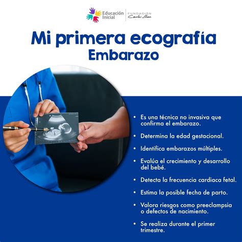Educación 👶💓 La Primera Ecografía Es Mucho Más Que Una Imagen Es El