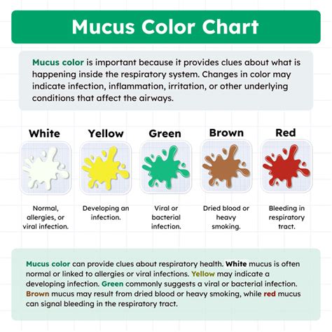 Mucus Causes Colors Symptoms And What It Means 2026