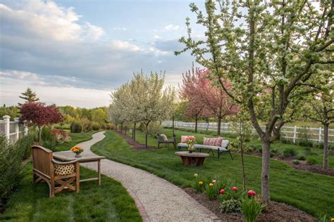 15 Inspiring Backyard Orchard Ideas