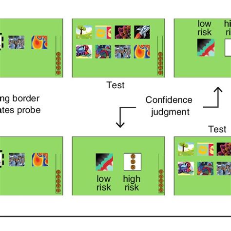 Schematic Of The Delayed Matching To Sample Procedure Used A In The