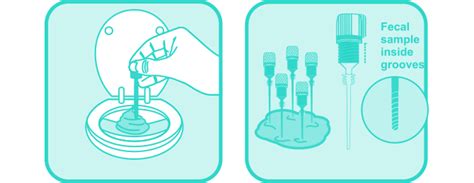 About Colotest® Reeses Colotest®