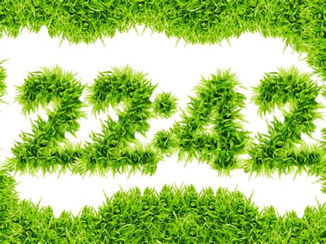 Grass Time Screensaver For Windows Download Time Screensaver