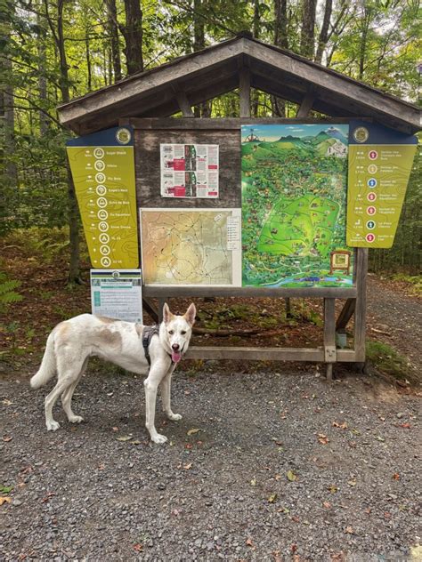 Avec Son Chien Randonner Sur Les Sentiers Au Diable Vert à Glenn Sutton