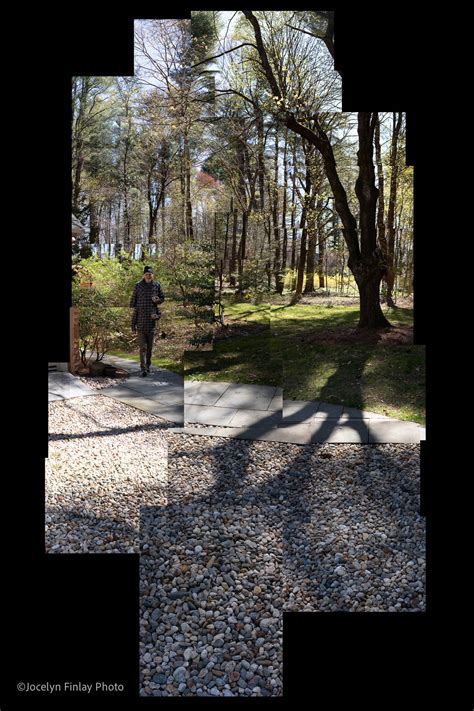 About Steve Mitchell