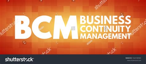 Bcm Business Continuity Management Framework Identifying Stock Vector