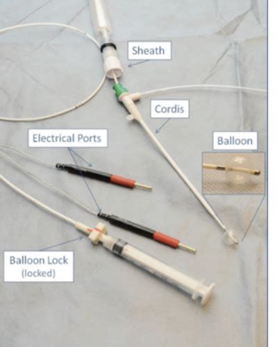 Central Venous Catheters Flashcards Quizlet