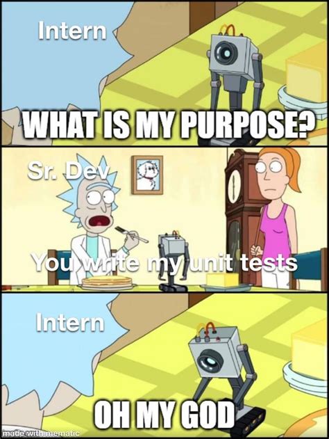 Interns Rprogrammerhumor