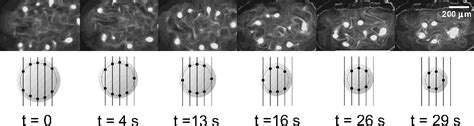 Figure 5 From Ultrafast Microfluidics Using Surface Acoustic Waves