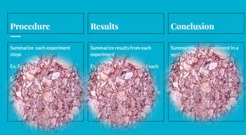 Enzyme Lab By Shannon Mareski TPT